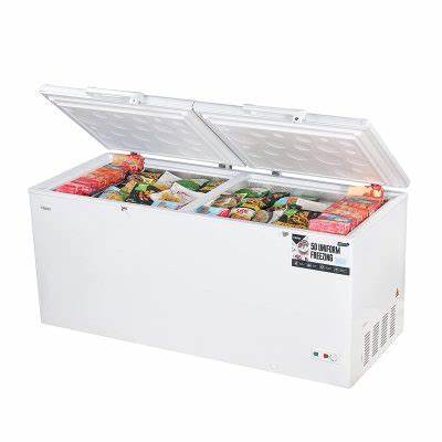 Black Star 25 Cu. Ft. Chest Freezer 110V – Rosh Marketing Co. Ltd.